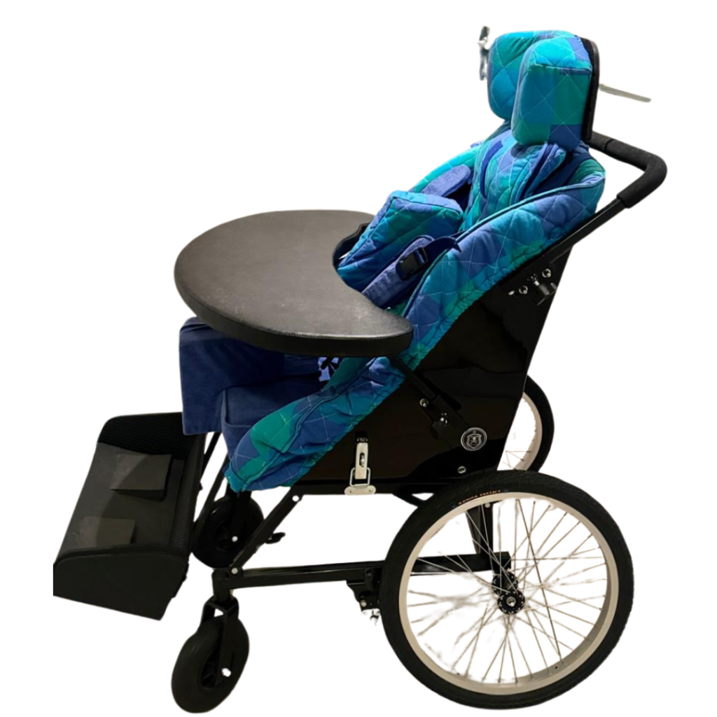 Madiba Buggy with Rigid 20 Buggy Base Frame – size large - Sitwell ...